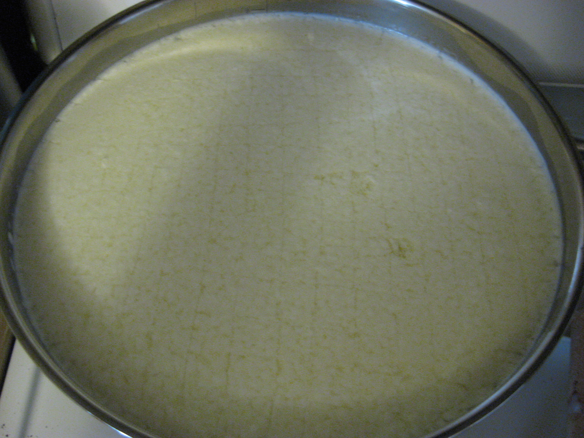 How to Make Mozzarella Cheese