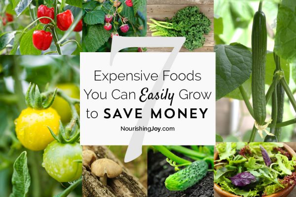 7 Expensive Foods You Can Grow to Save Money
