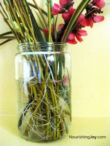 How to Make Natural, Homemade Root Stimulant