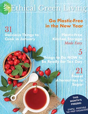 Ethical Green Living Magazine | Nourishing Joy